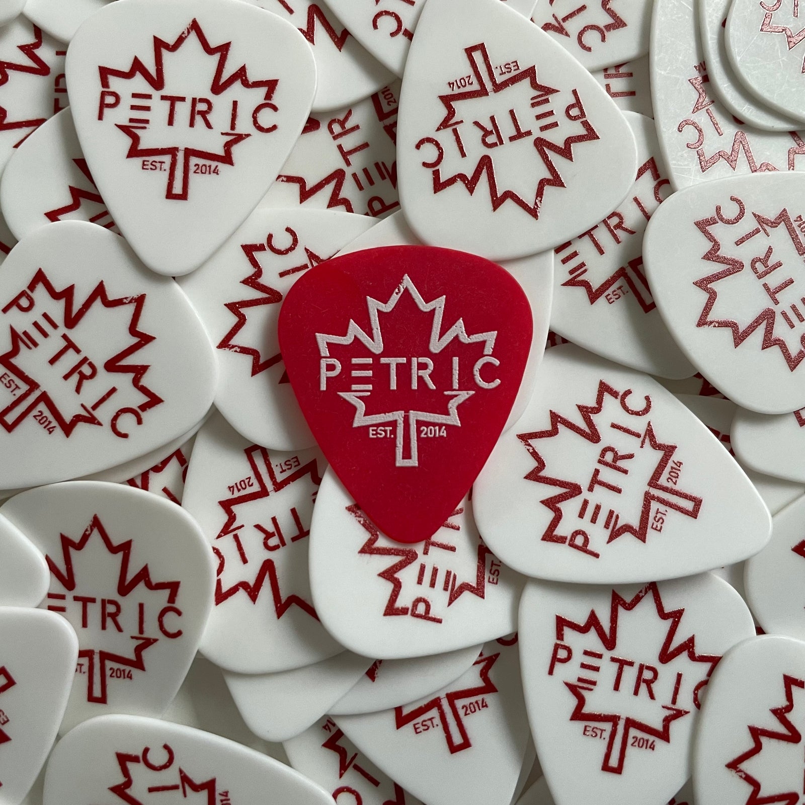 GALLERY– EGO Picks