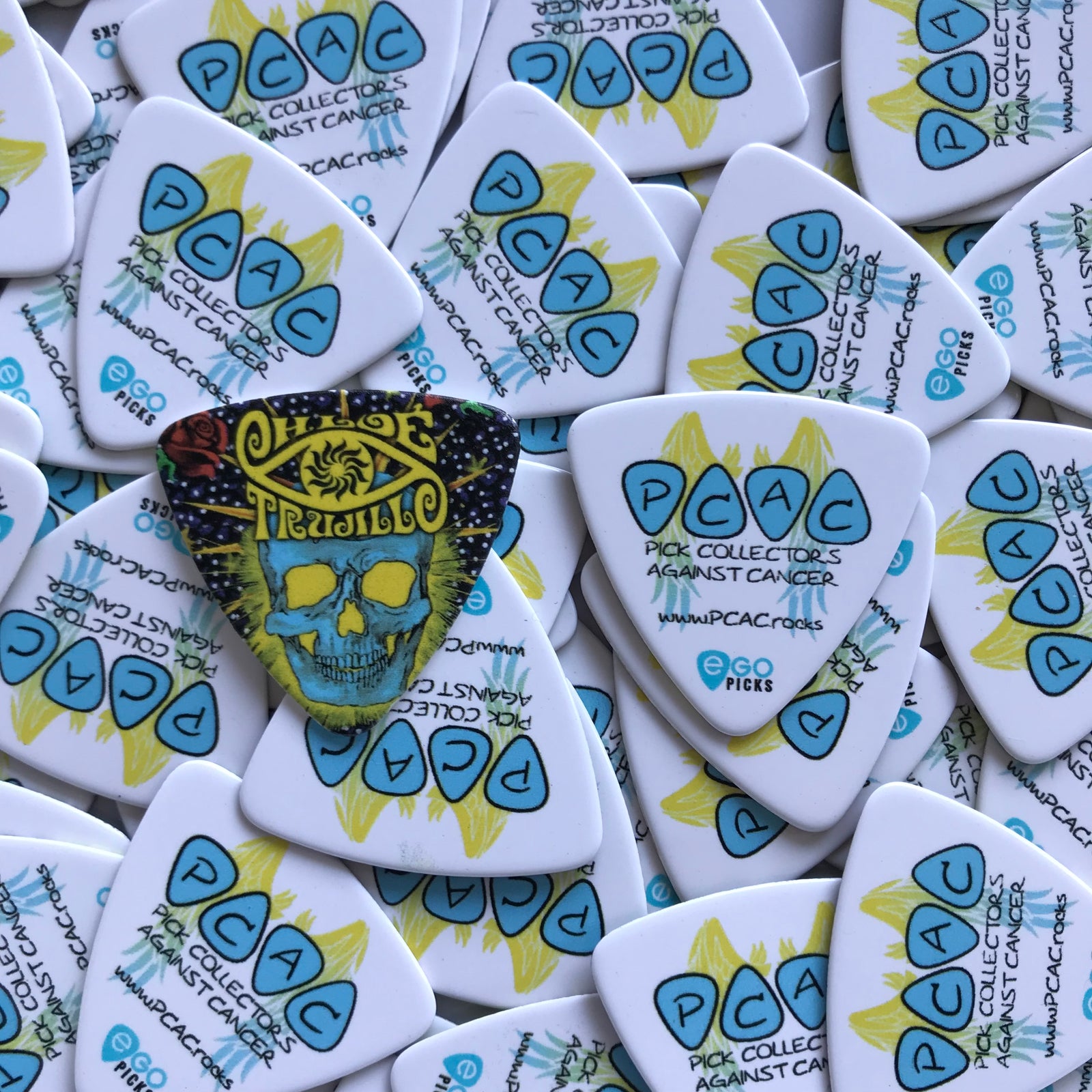 GALLERY– EGO Picks